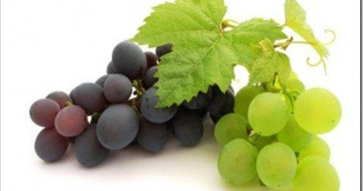 ყურძნის წვენი და ზეთი კანს ასუფთავებს - Marao