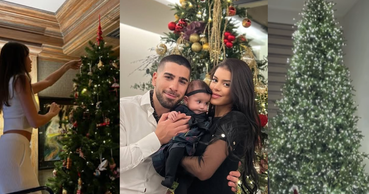 5 ვარსკვლავი - 5 ნაძვის ხე: ცნობილი ქართველების გამორჩეული საახალწლო ...